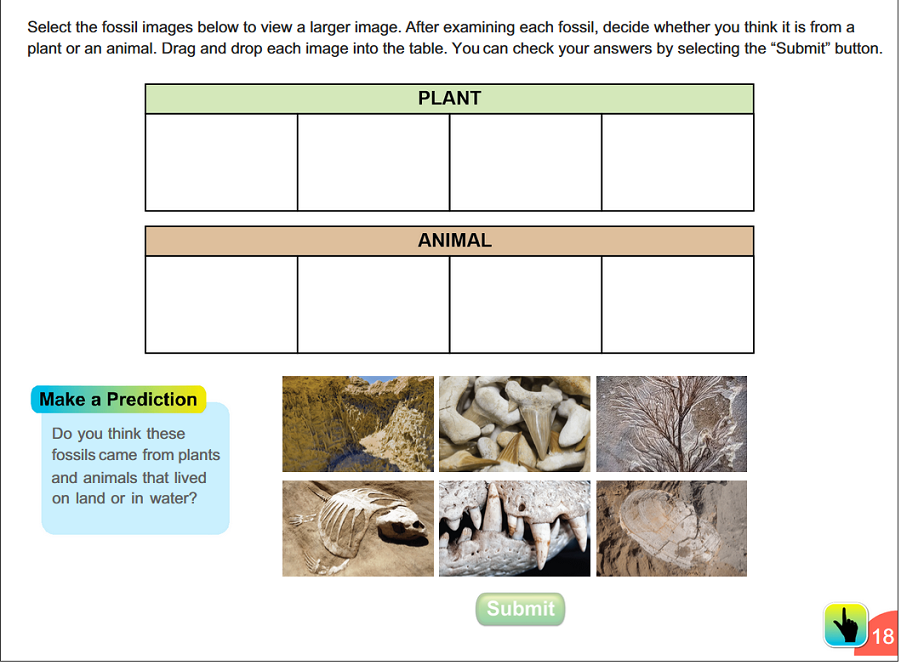 Why Are There Fish in the Desert? | NSTA